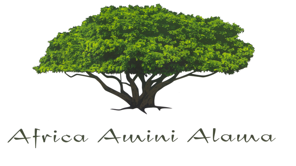 IT Hardware Donations for Africa Amini Alama - SPARFELL